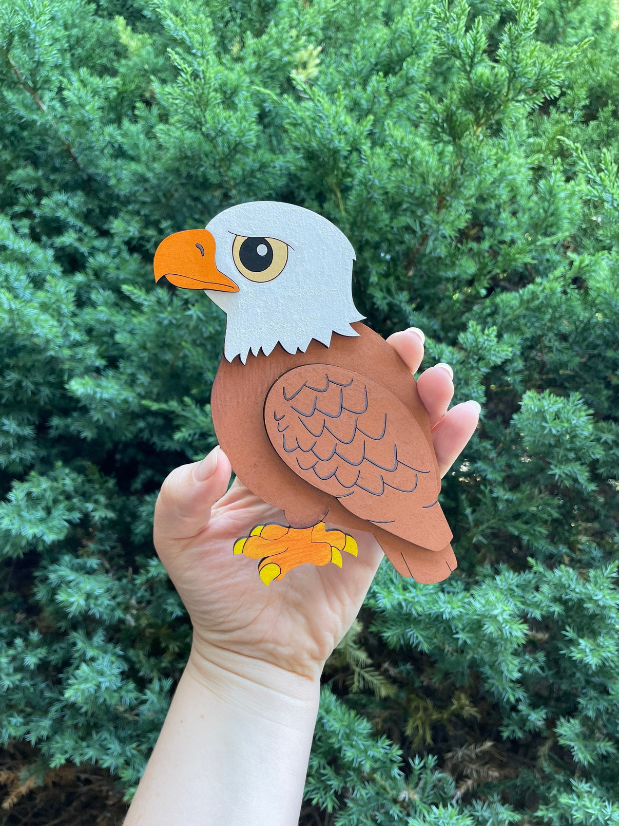 DIY Bald Eagle Paint Kit – My Art Box